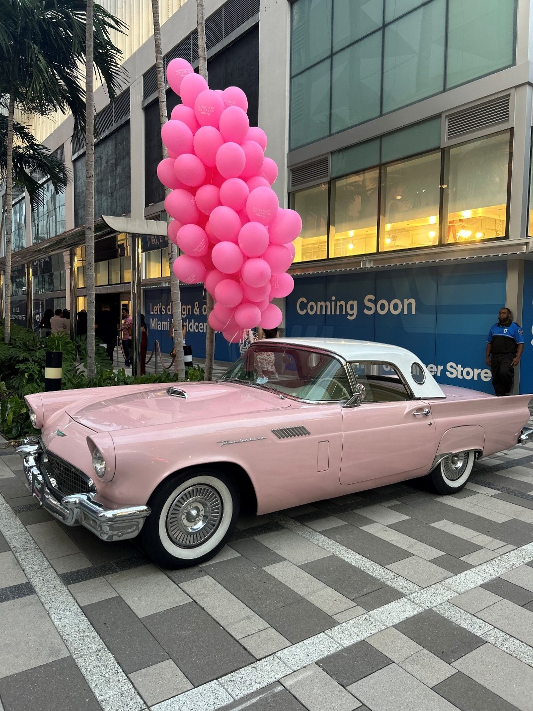 Ryan Bluestone Miami Museum of Ice Cream: A Sweet Escape | Somers Point